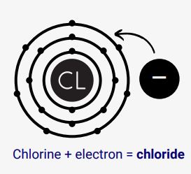Learning Materials | Community Science Institute